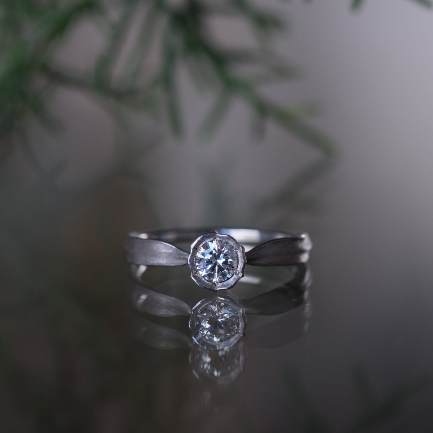 Ryui - Tulip：チューリップ